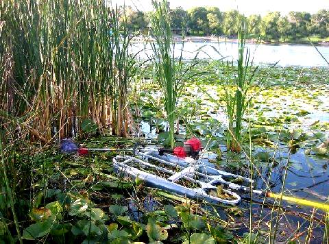 Weed Whip Your Lake or Pond Motorized Lake Weed Cutter