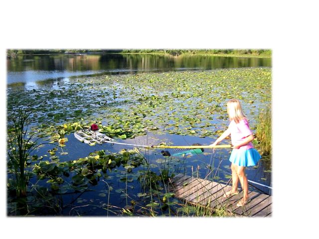 Weed Whip Your Lake or Pond Motorized Lake Weed Cutter